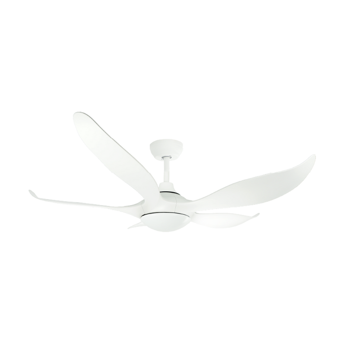 Ceiling Fan | Mayer Singapore